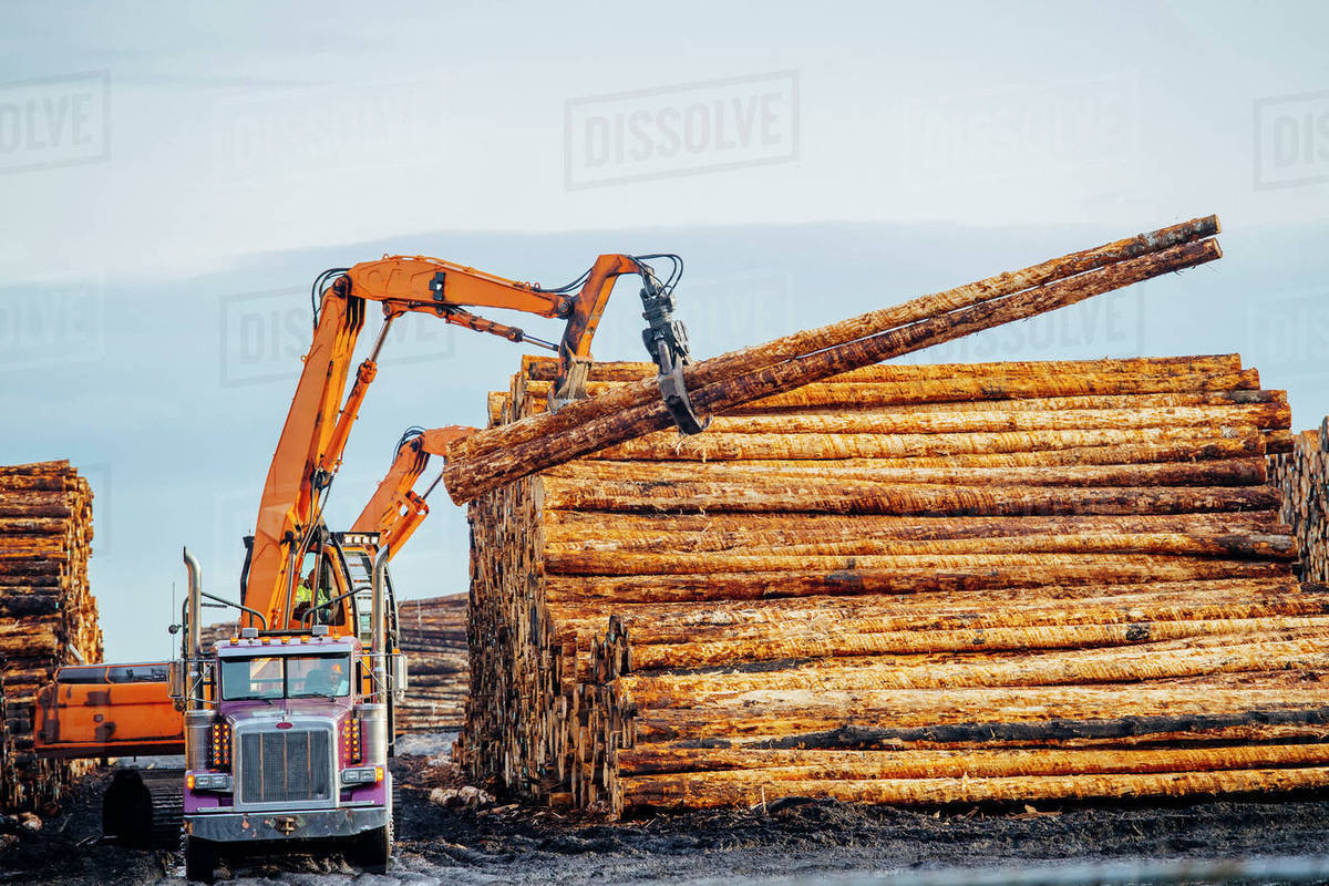 Heavy machinery, moving cut logs - Royalty-free Stock Photo | Dissolve