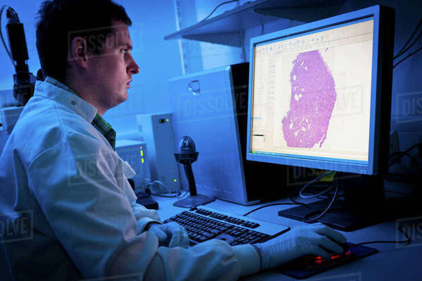 Scientist using computer in lab - Stock Photo - Dissolve