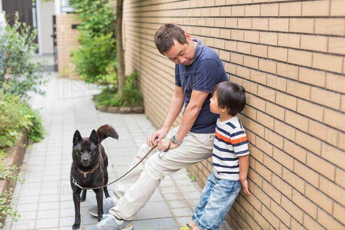 Father and young son with dog - Stock Photo - Dissolve