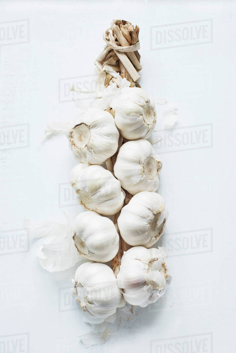 String of garlic - Royalty-free Stock Photo | Dissolve