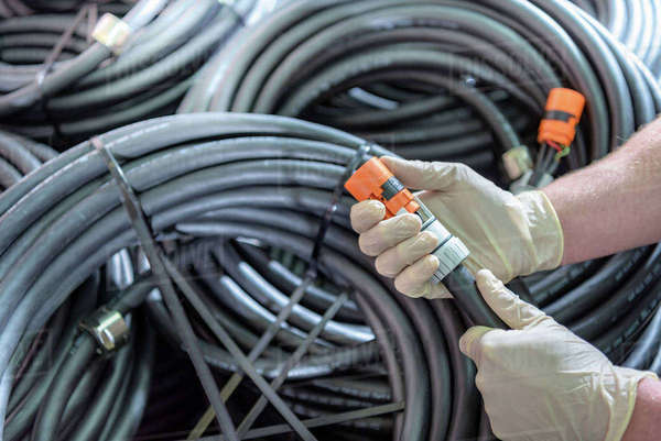 Electrical engineer holding cables in cable finishing factory - Stock ...