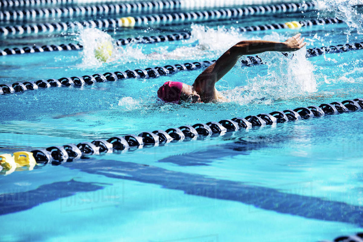 Swimmer doing freestyle in lane - Stock Photo - Dissolve
