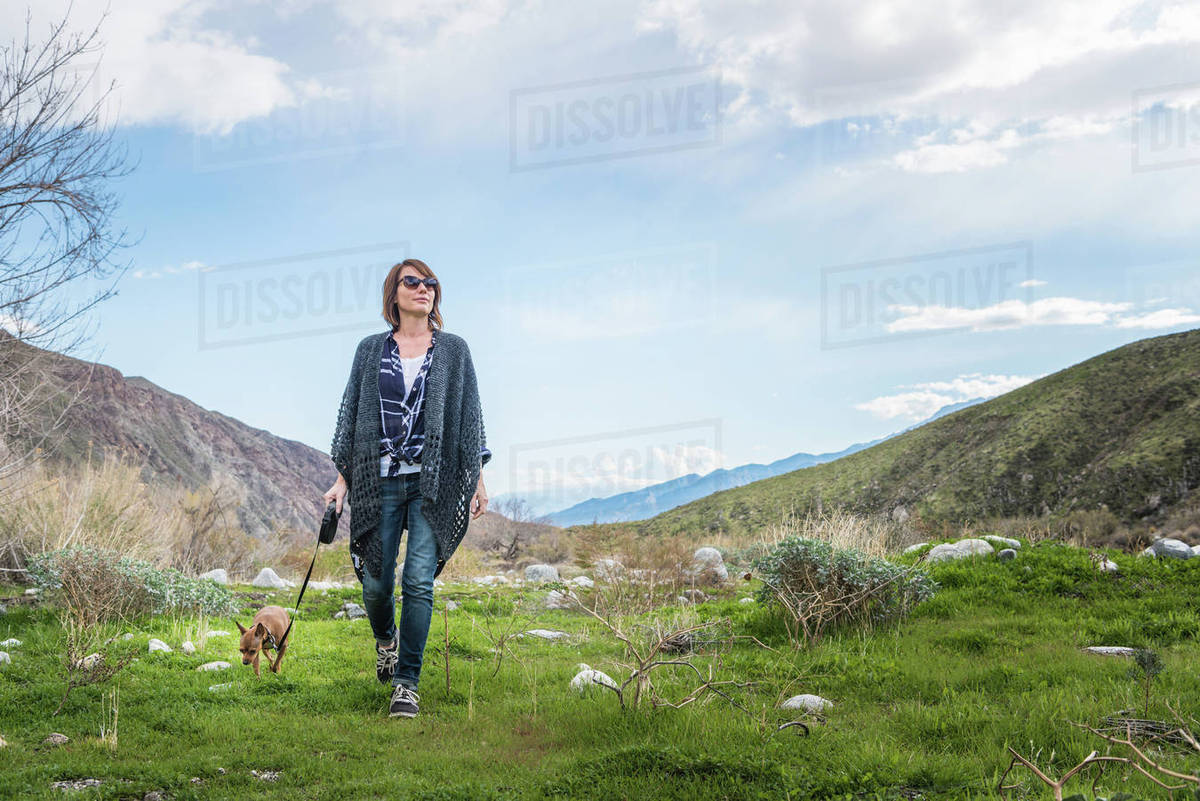 Mature woman walking dog in valley landscape - Royalty-free Stock Photo ...