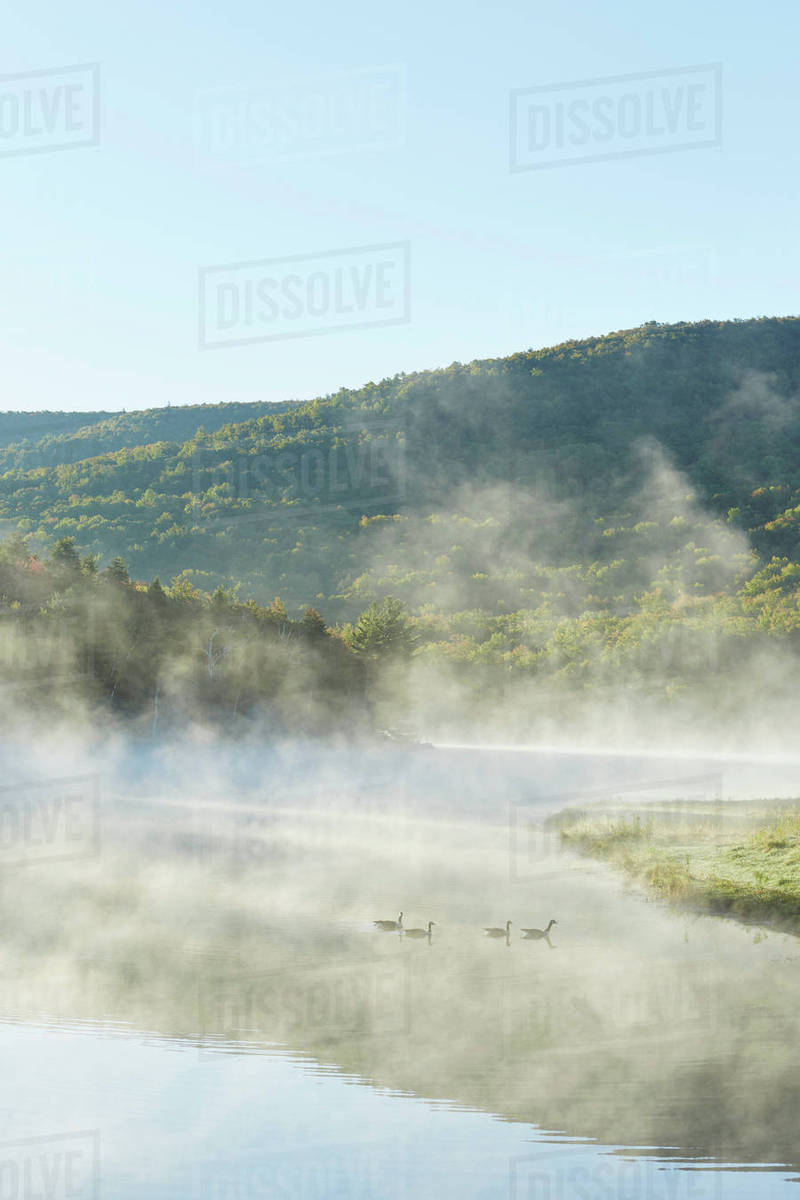 Scenic view, Colgate Lake Wild Forest, Catskill Park, New York State ...