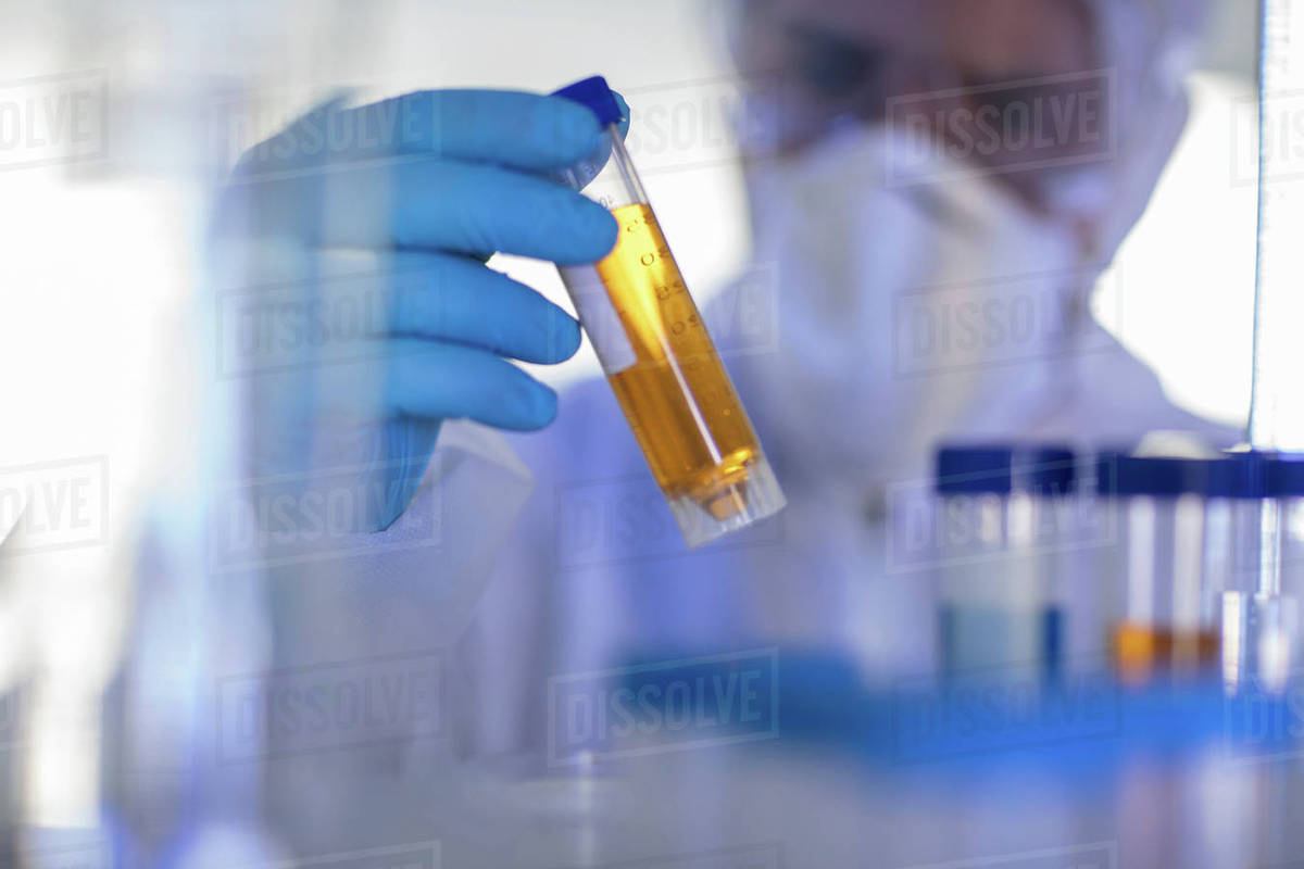 Laboratory worker holding liquid filled test tube, close-up - Royalty ...