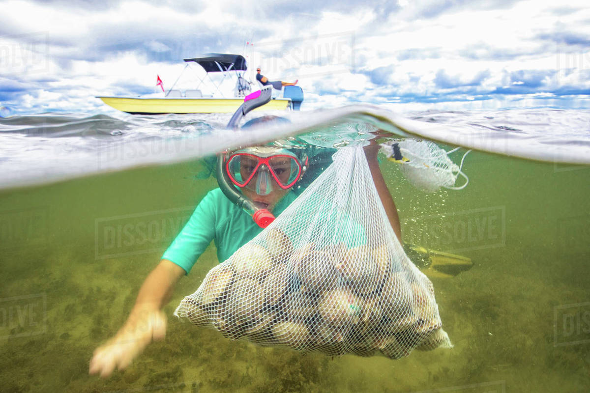 Girl collecting scallops in grass meadow underwater - Royalty-free ...
