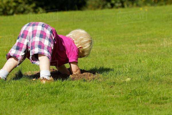 Little boy investigating molehill - Stock Photo - Dissolve