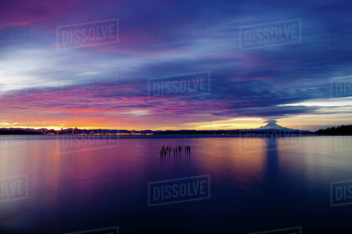 Wooden stumps protruding from water at sunset, Bainbridge, Washington ...