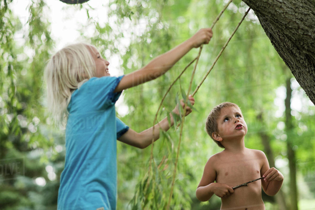 Children playing under willow tree - Royalty-free Stock Photo | Dissolve