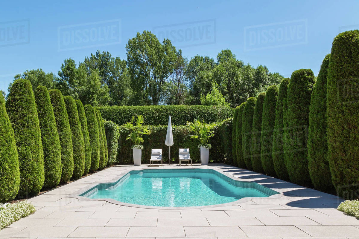 Outdoor swimming pool with parasol and lounge chairs, bordered by rows ...