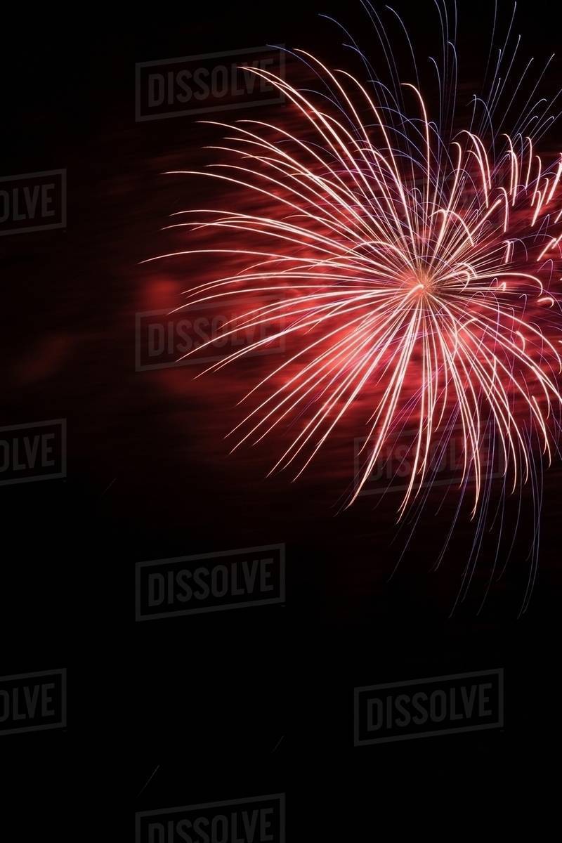 Fireworks in night sky - Stock Photo - Dissolve