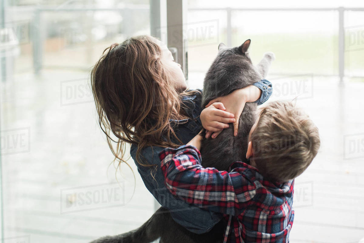 Children playing with cat at home - Royalty-free Stock Photo | Dissolve
