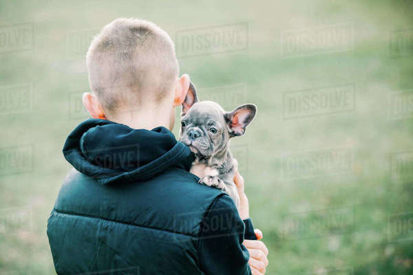 Boy carrying puppy outdoors - Royalty-free Stock Photo | Dissolve