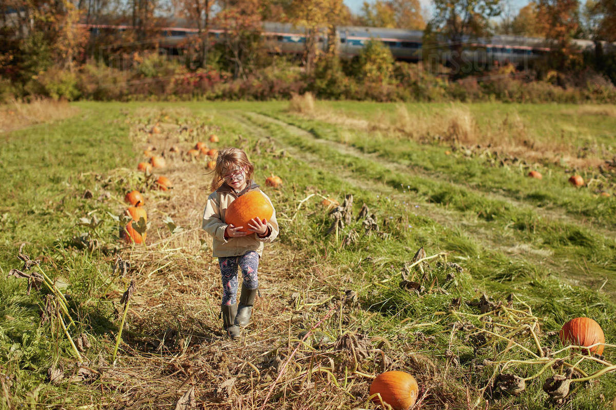 Girl in pumpkin patch - Royalty-free Stock Photo | Dissolve