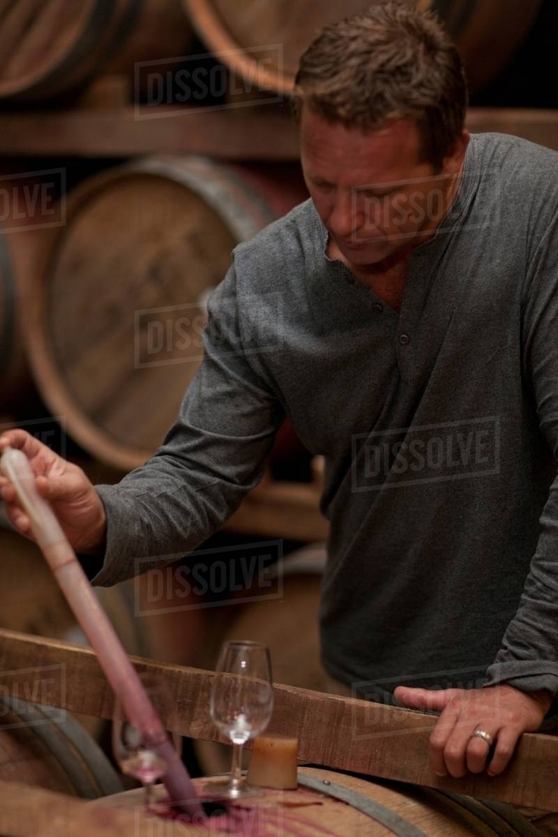 Sampling wine in barrels - Royalty-free Stock Photo | Dissolve
