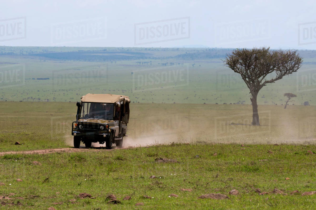 Off road vehicle in safari, Masai Mara National Reserve, Kenya ...