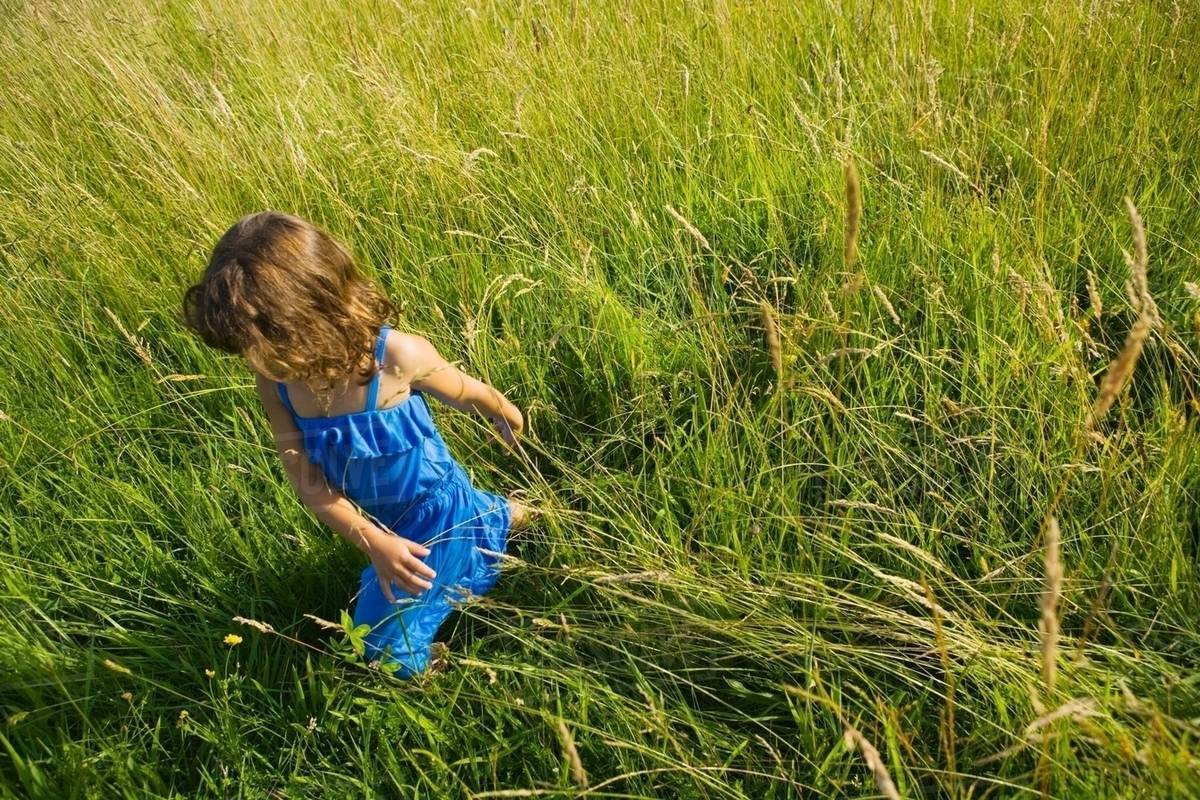 A girl walking through a field of long grass - Stock Photo - Dissolve