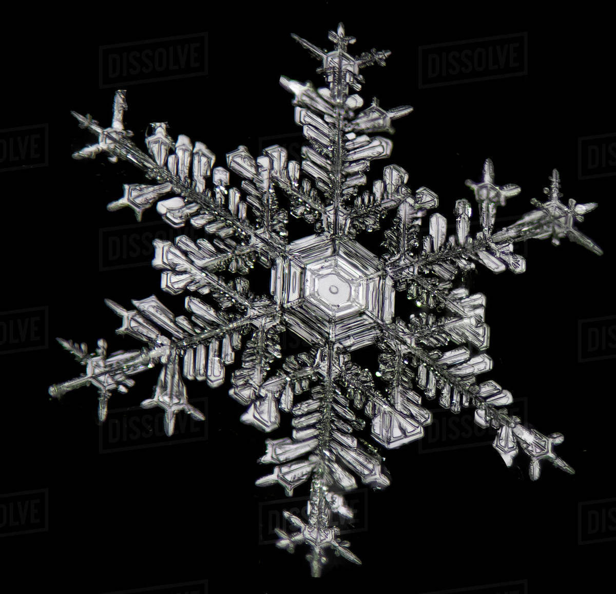 Extreme close up of snowflake on black background, structure and ...