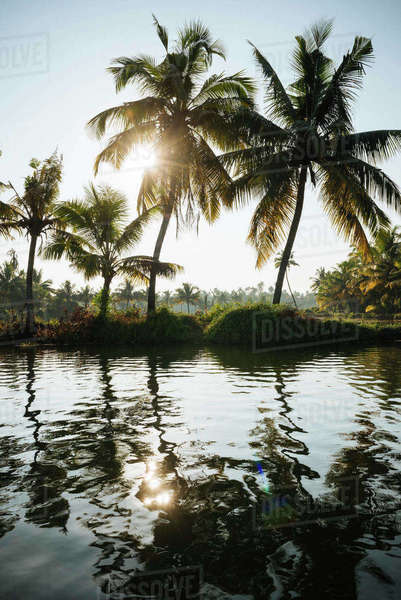 Keralan backwaters, North Paravoor, Kerala, India - Royalty-free Stock ...
