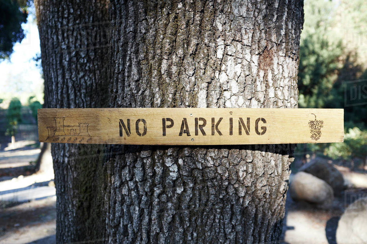 Wooden no parking sign on tree, California, USA - Stock Photo - Dissolve
