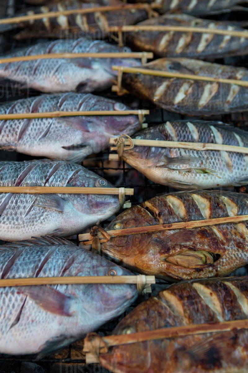 Close up of barbecued fish, Luang Prabang, Laos - Royalty-free Stock ...