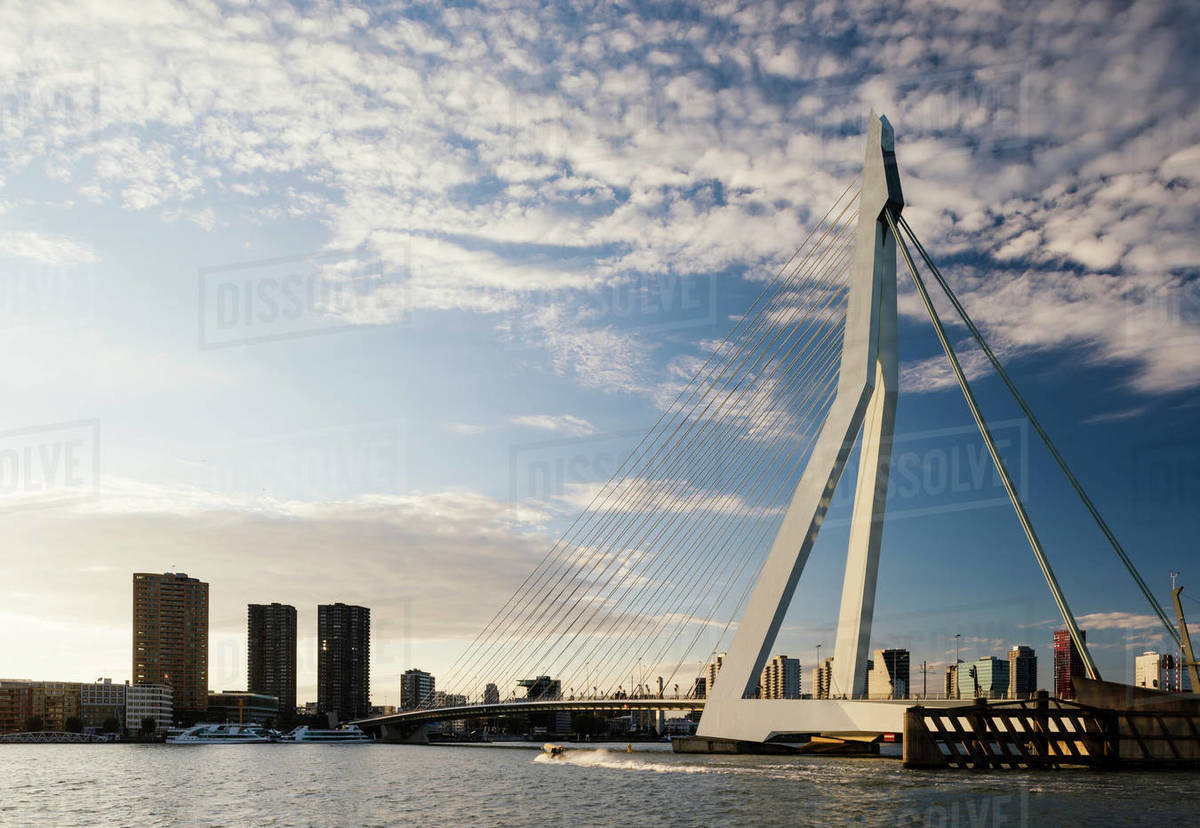 Erasmus Bridge, Wilhelminakade, Rotterdam, Netherlands - Royalty-free ...