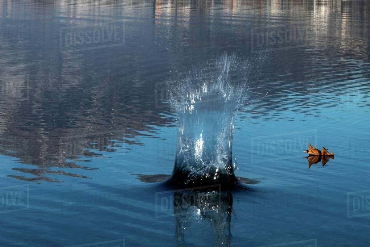 Water splashing in like after stone throw - Royalty-free Stock Photo ...