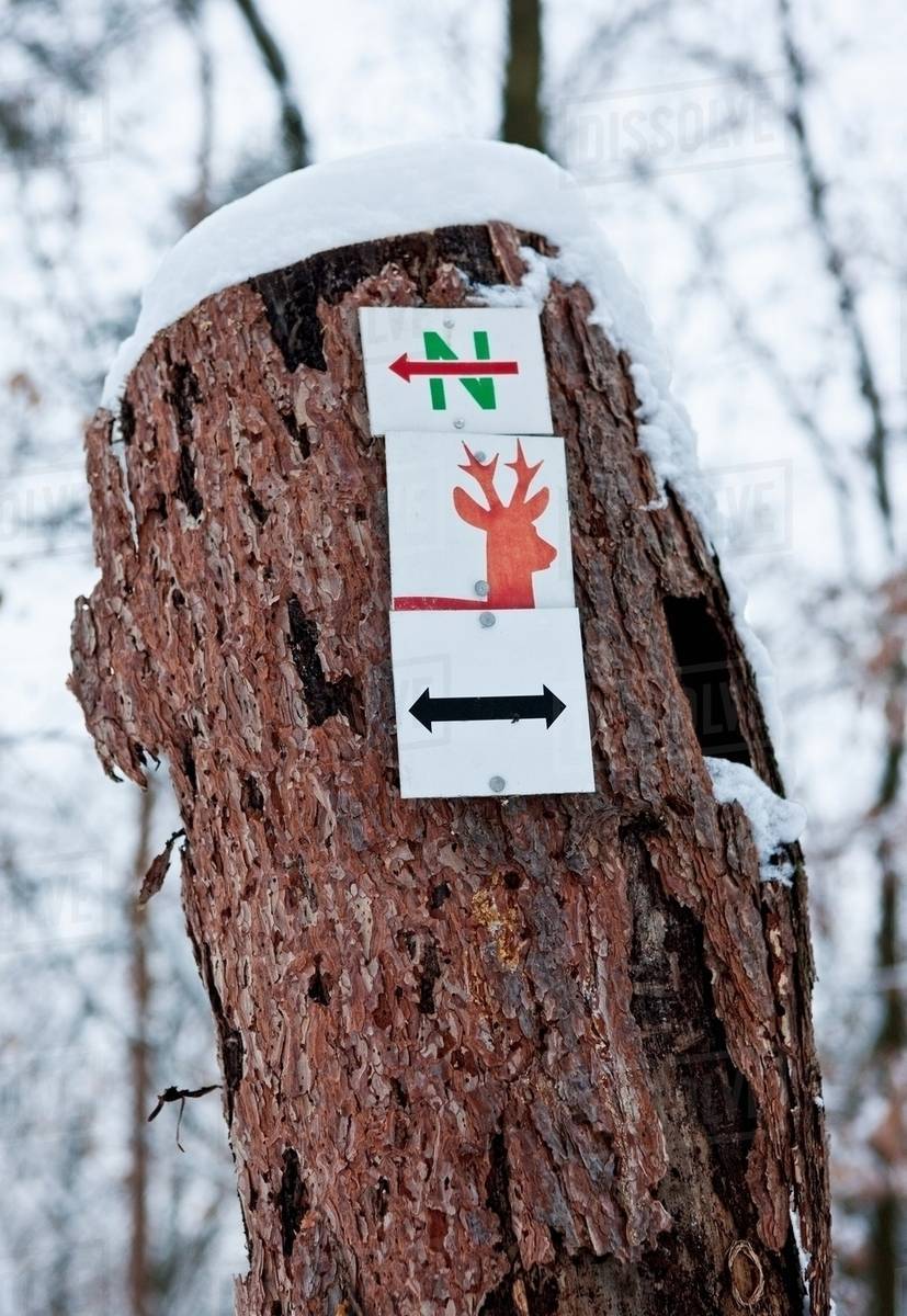 Sign on tree trunk - Stock Photo - Dissolve