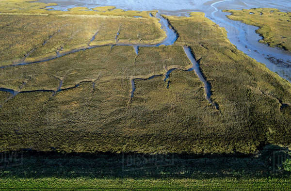 Aerial view of tidal wetlands bordering polder and dyke - Royalty-free ...