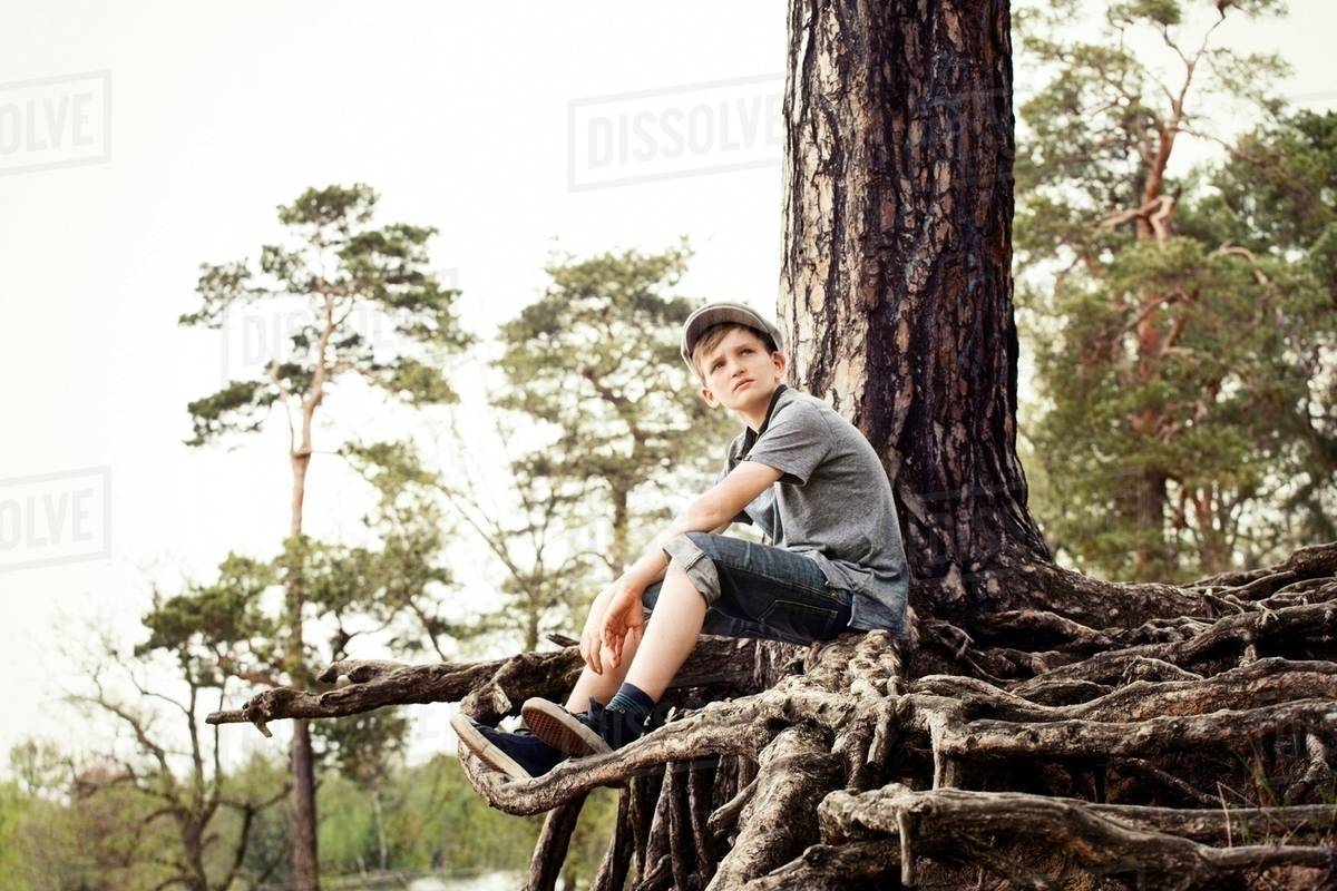 Boy sitting on roots of tree trunk - Royalty-free Stock Photo | Dissolve