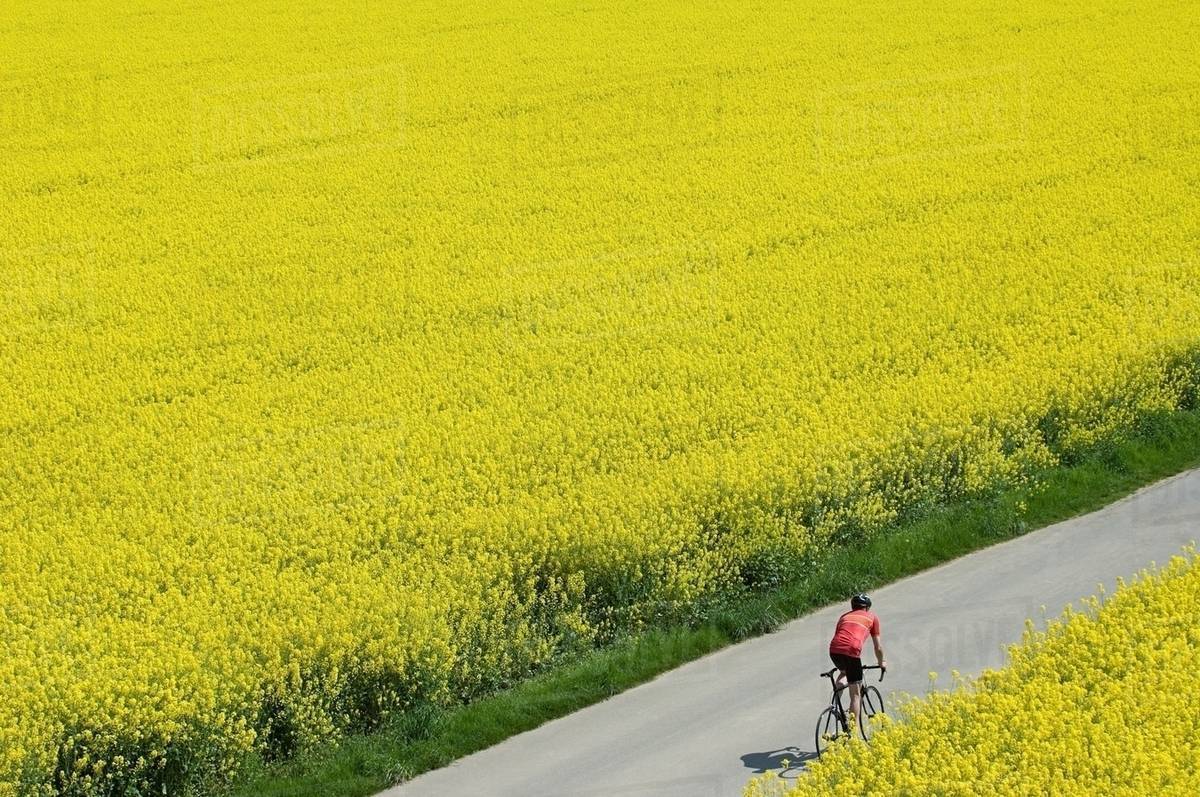 Man cycling through fields - Royalty-free Stock Photo | Dissolve
