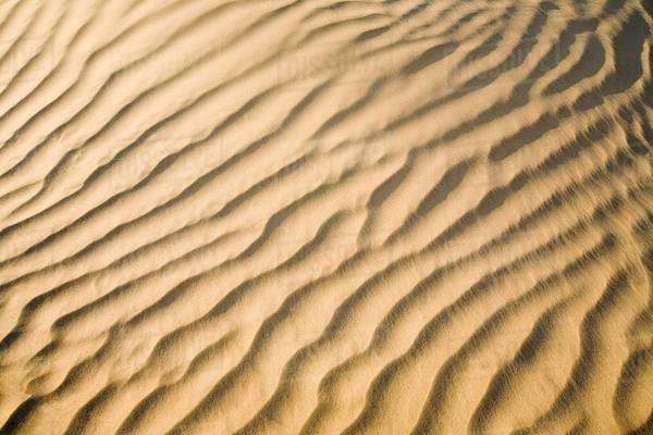 Sand ripples in a desert - Royalty-free Stock Photo | Dissolve