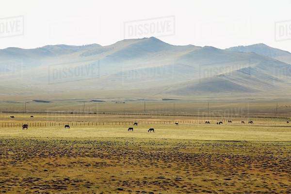 Mongolian steppes landscape - Stock Photo - Dissolve