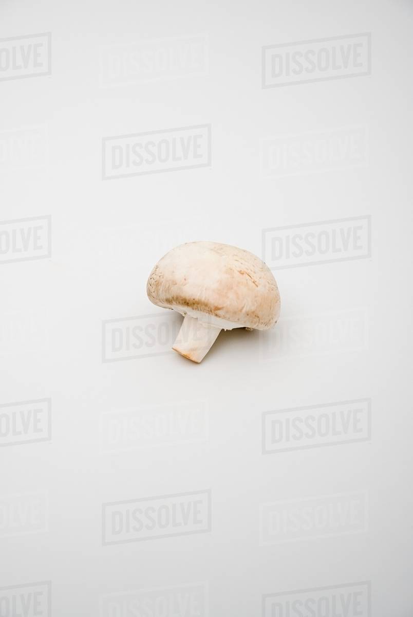 One mushroom - Royalty-free Stock Photo | Dissolve