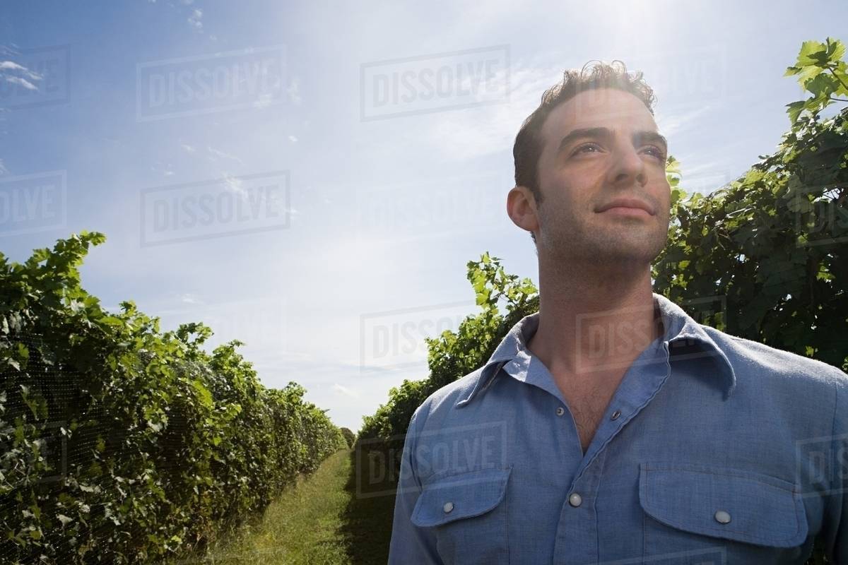 Young man in vineyard - Royalty-free Stock Photo | Dissolve