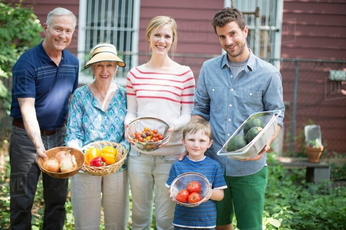 Three generation family with homegrown vegetables - Stock Photo - Dissolve