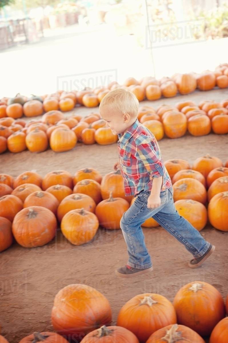 Boy running through pumpkins - Royalty-free Stock Photo | Dissolve