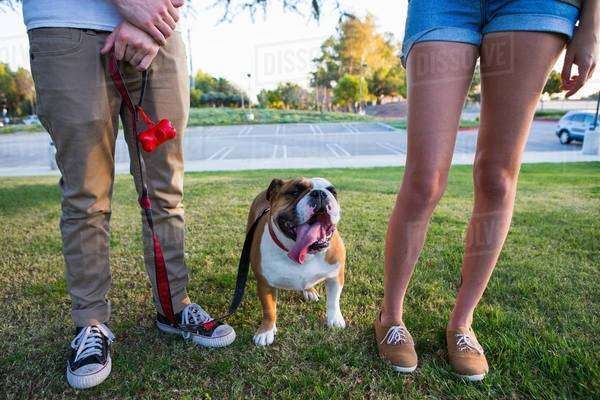 Portrait of bulldog in park between legs of young couple - Royalty-free ...