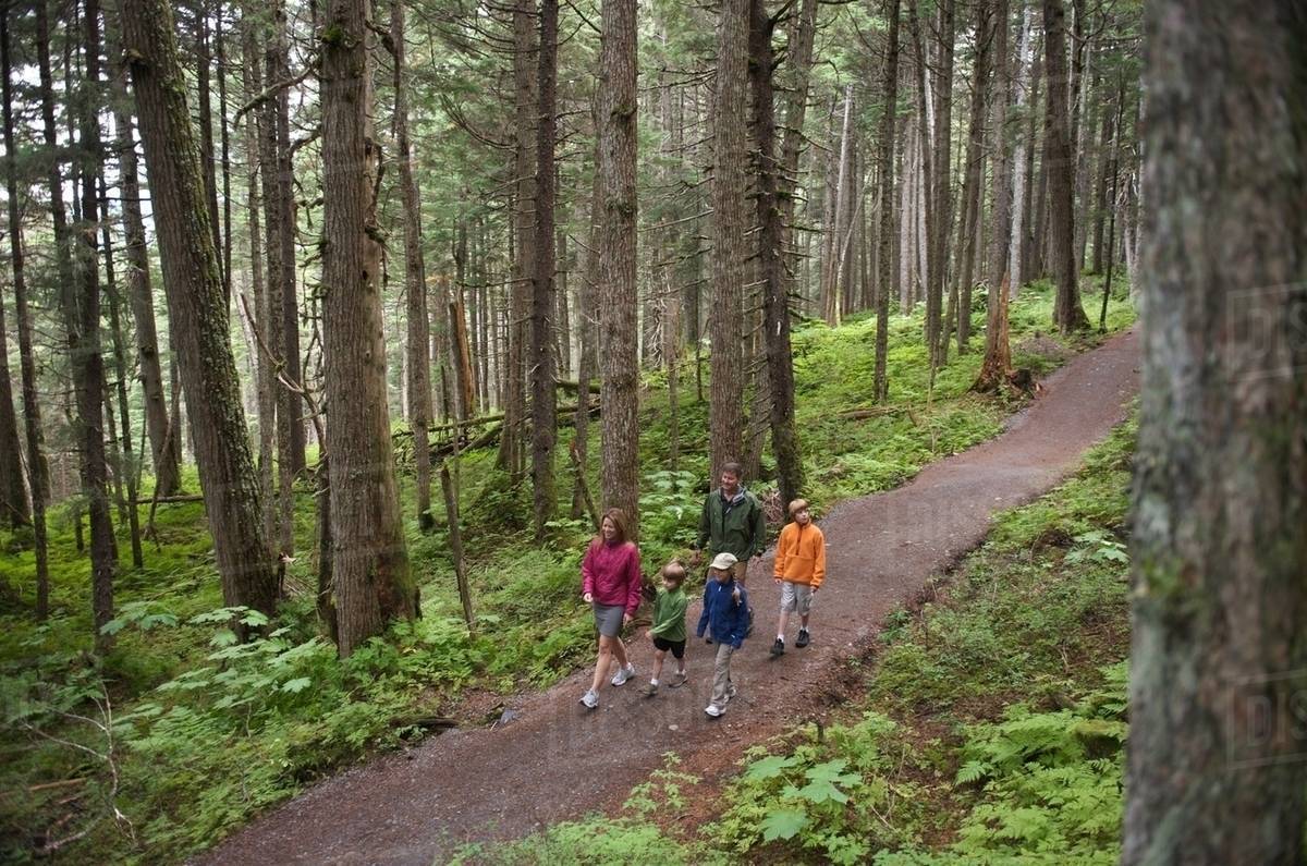 Family exploring woods, Winner Creek, Alyeska Resort, Turnagain Arm, Mt ...