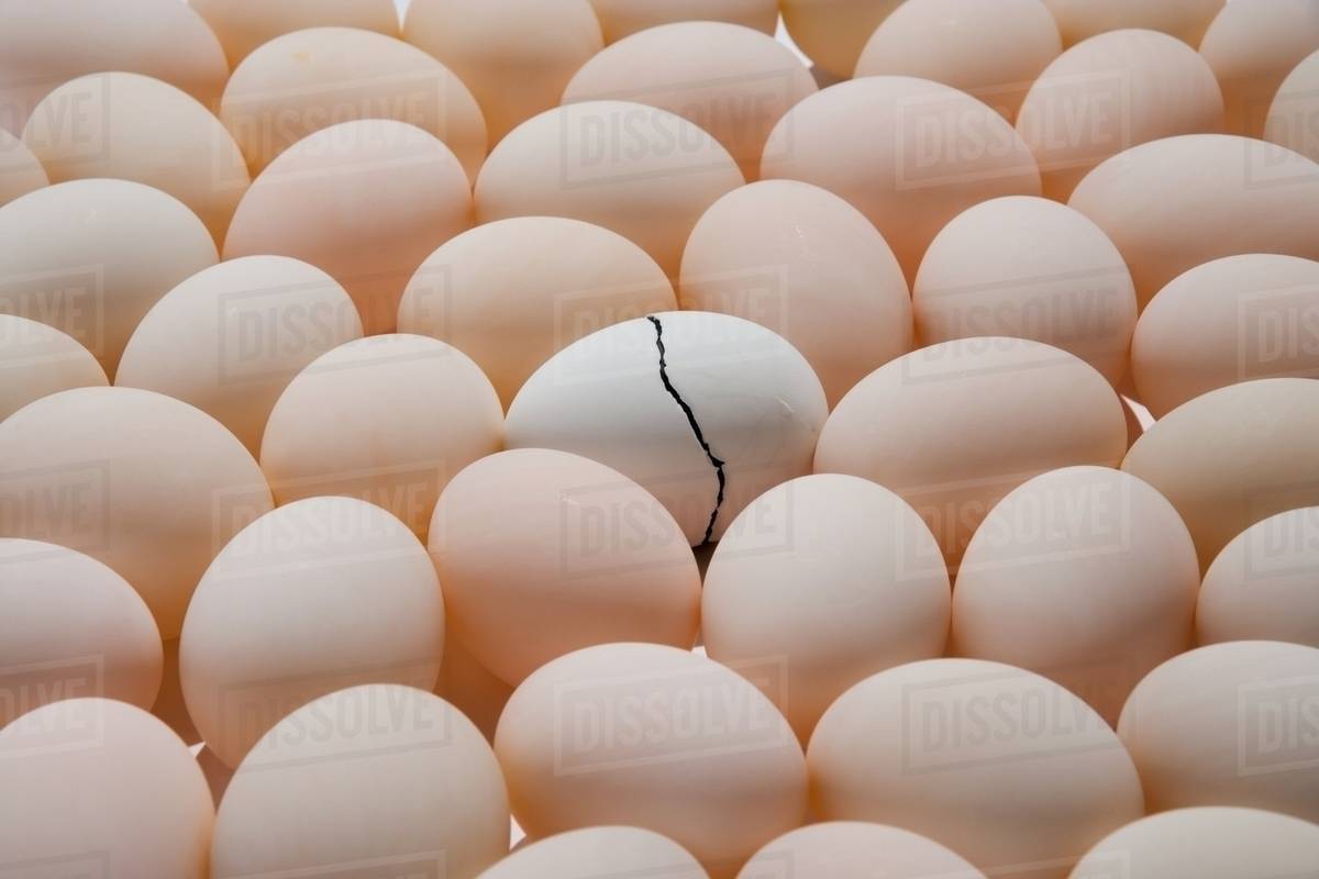 Cracked egg amongst others - Royalty-free Stock Photo | Dissolve
