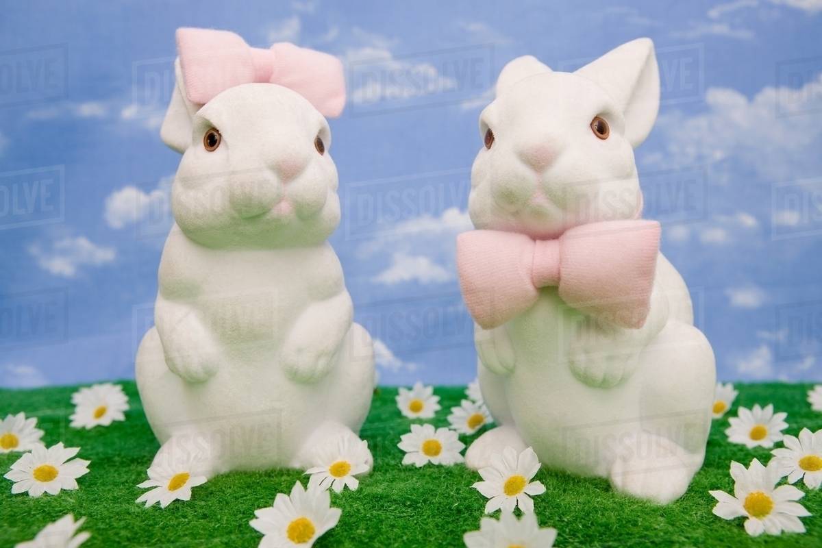 Two rabbits wearing bows - Stock Photo - Dissolve