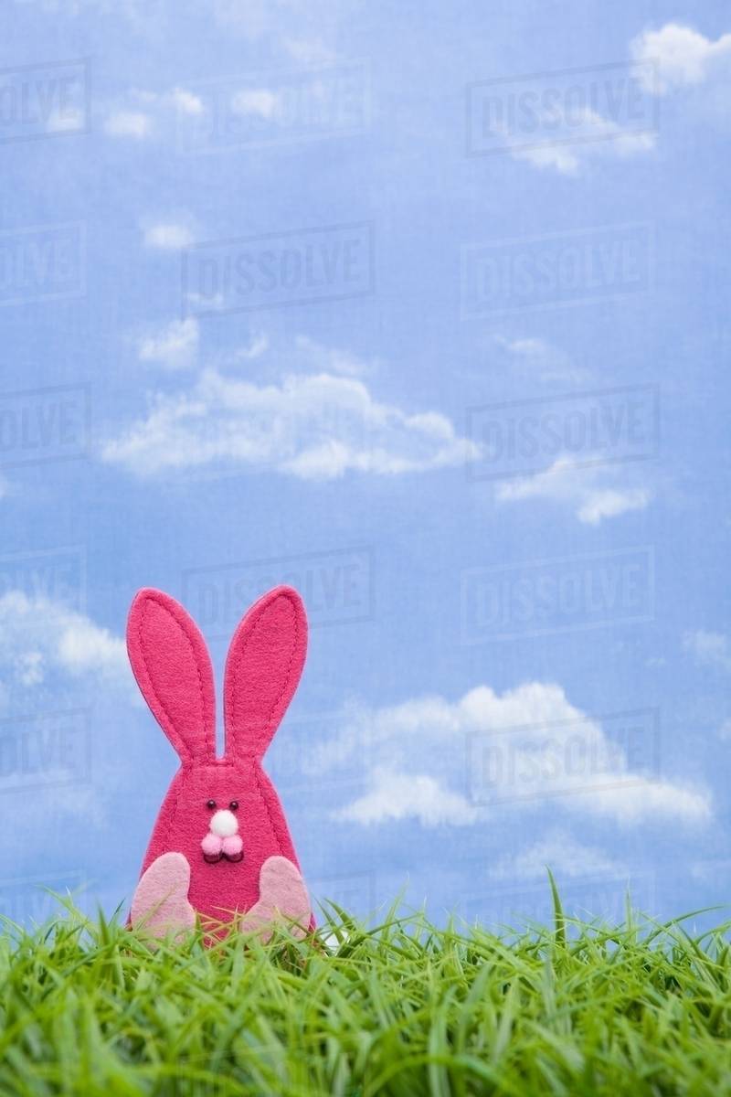 A pink rabbit - Royalty-free Stock Photo | Dissolve
