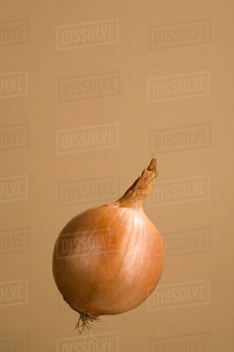 Onion - Royalty-free Stock Photo | Dissolve