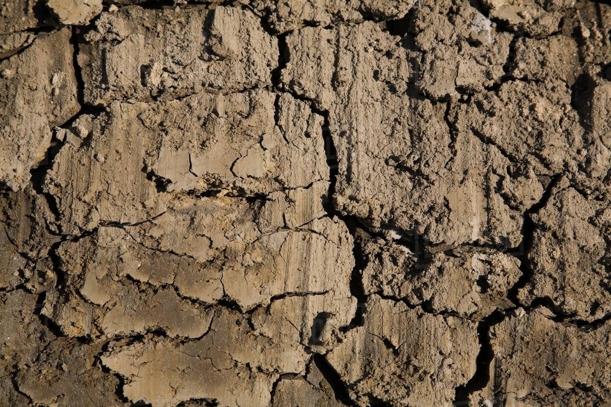 Close up of cracked dry mud - Stock Photo - Dissolve