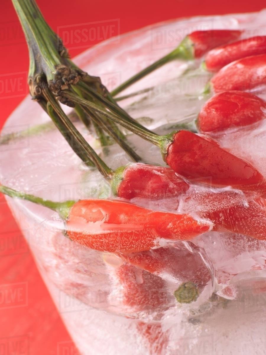 Frozen chilli peppers - Stock Photo - Dissolve