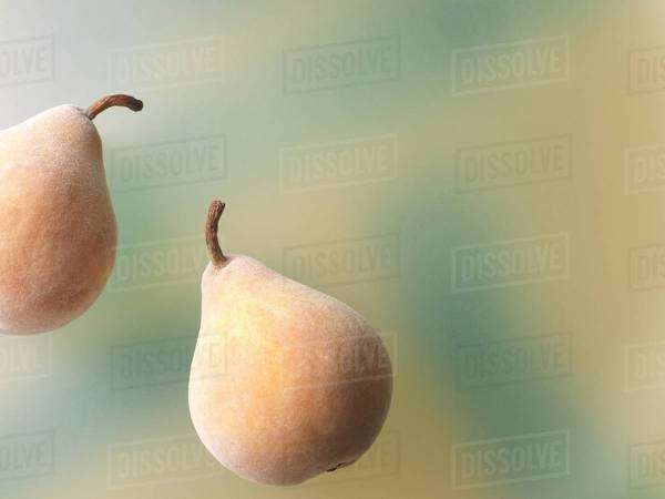 Frozen pears - Royalty-free Stock Photo | Dissolve