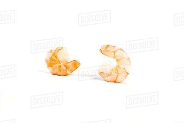 Two prawns - Royalty-free Stock Photo | Dissolve