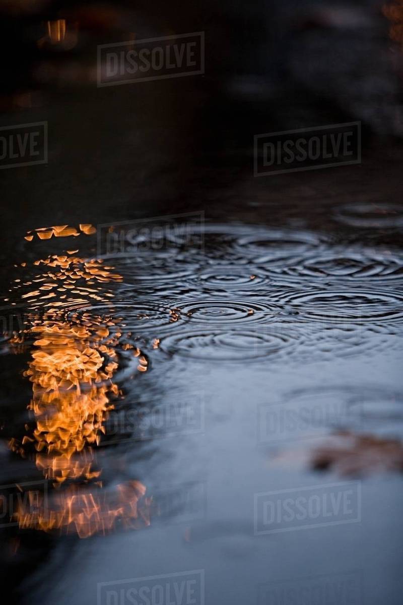 Reflection and ripples in water - Royalty-free Stock Photo | Dissolve