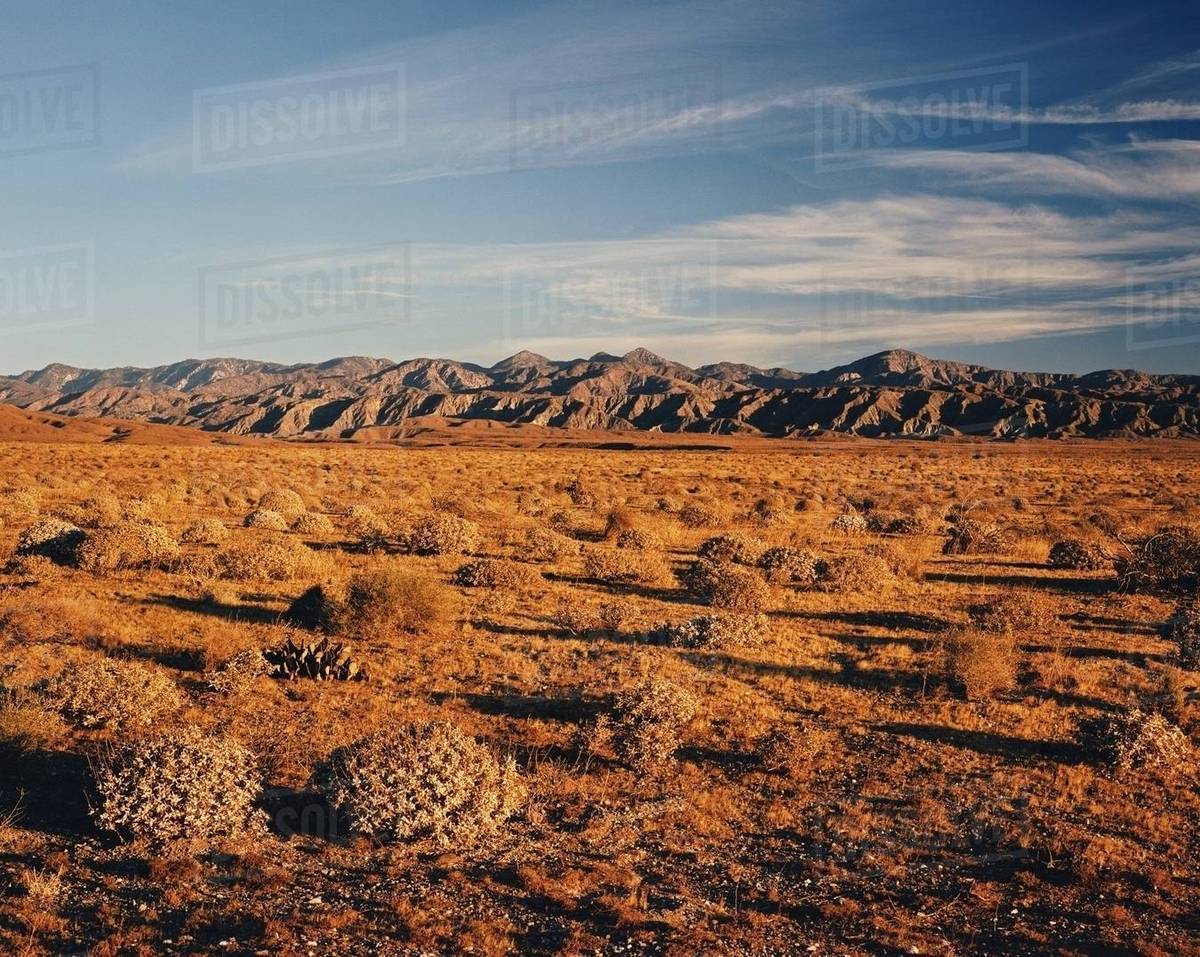 California desert - Royalty-free Stock Photo | Dissolve