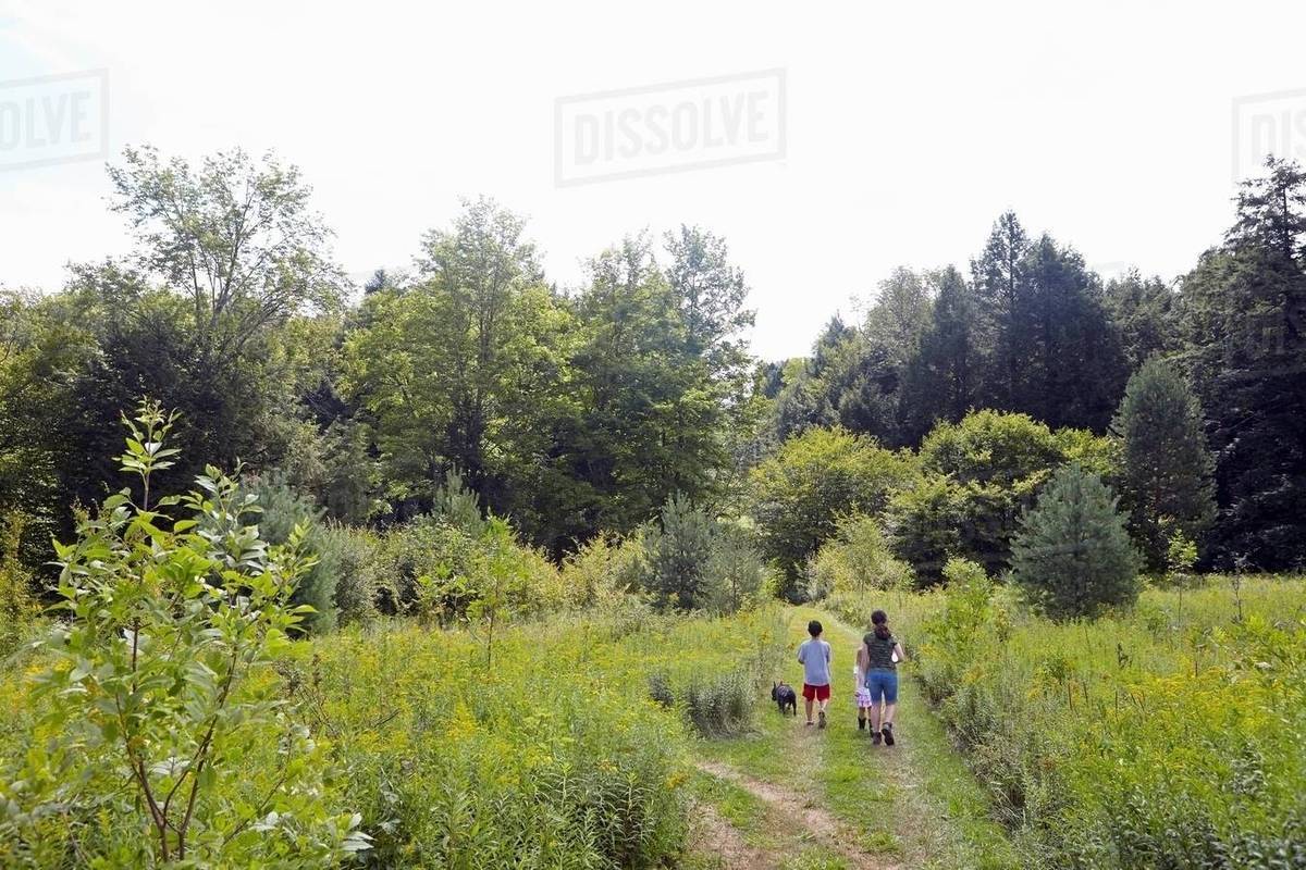 Children walking in forest - Royalty-free Stock Photo | Dissolve